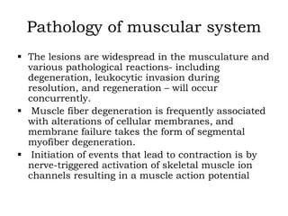 muscular system pathology lecture.pptx