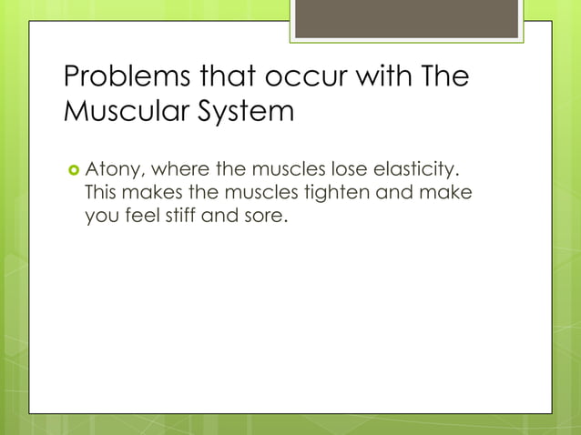Muscular system power point | PPTX