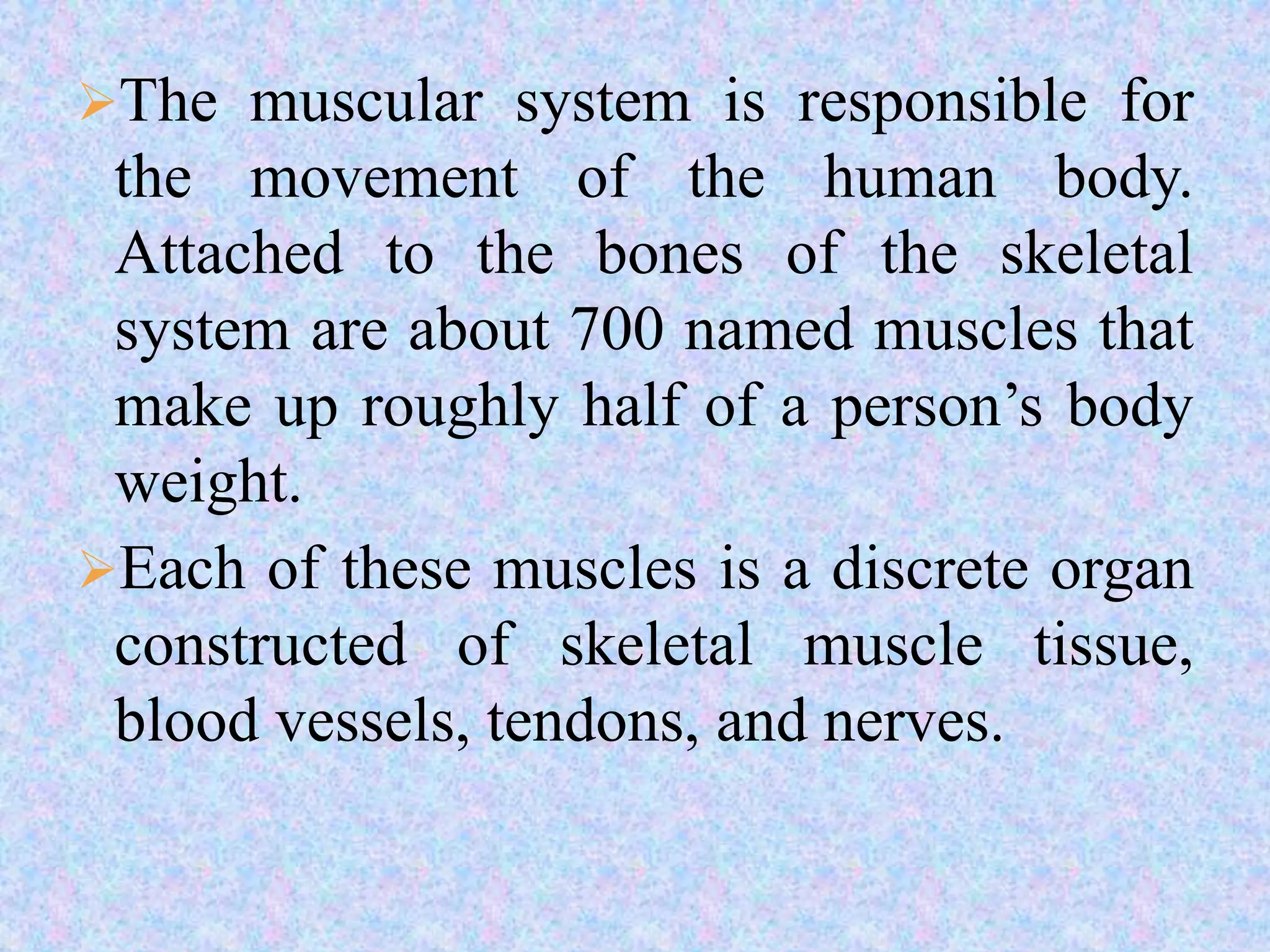Muscular system ppt | PPTX