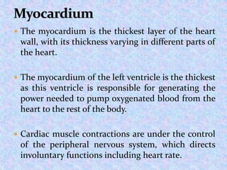 Muscular system ppt | PPTX