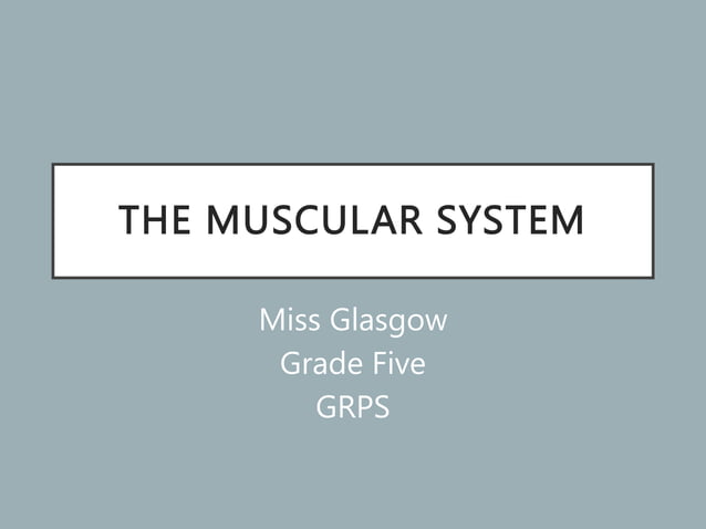 Muscular System Power point for fifth Graders | PPT
