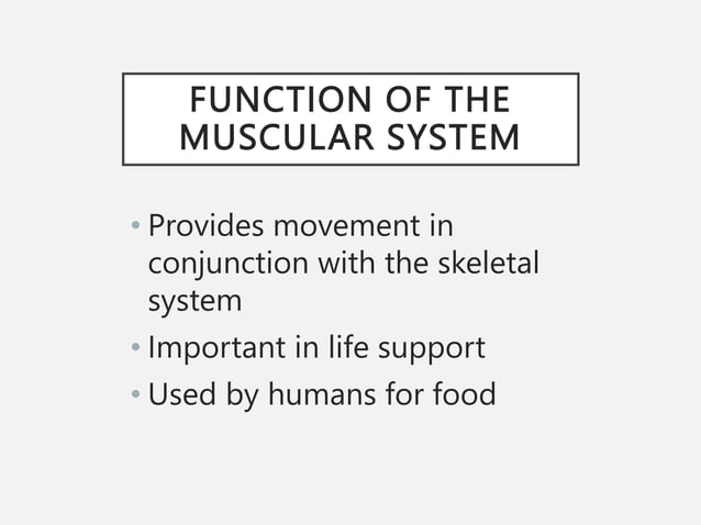 Muscular System Power point for fifth Graders | PPTX