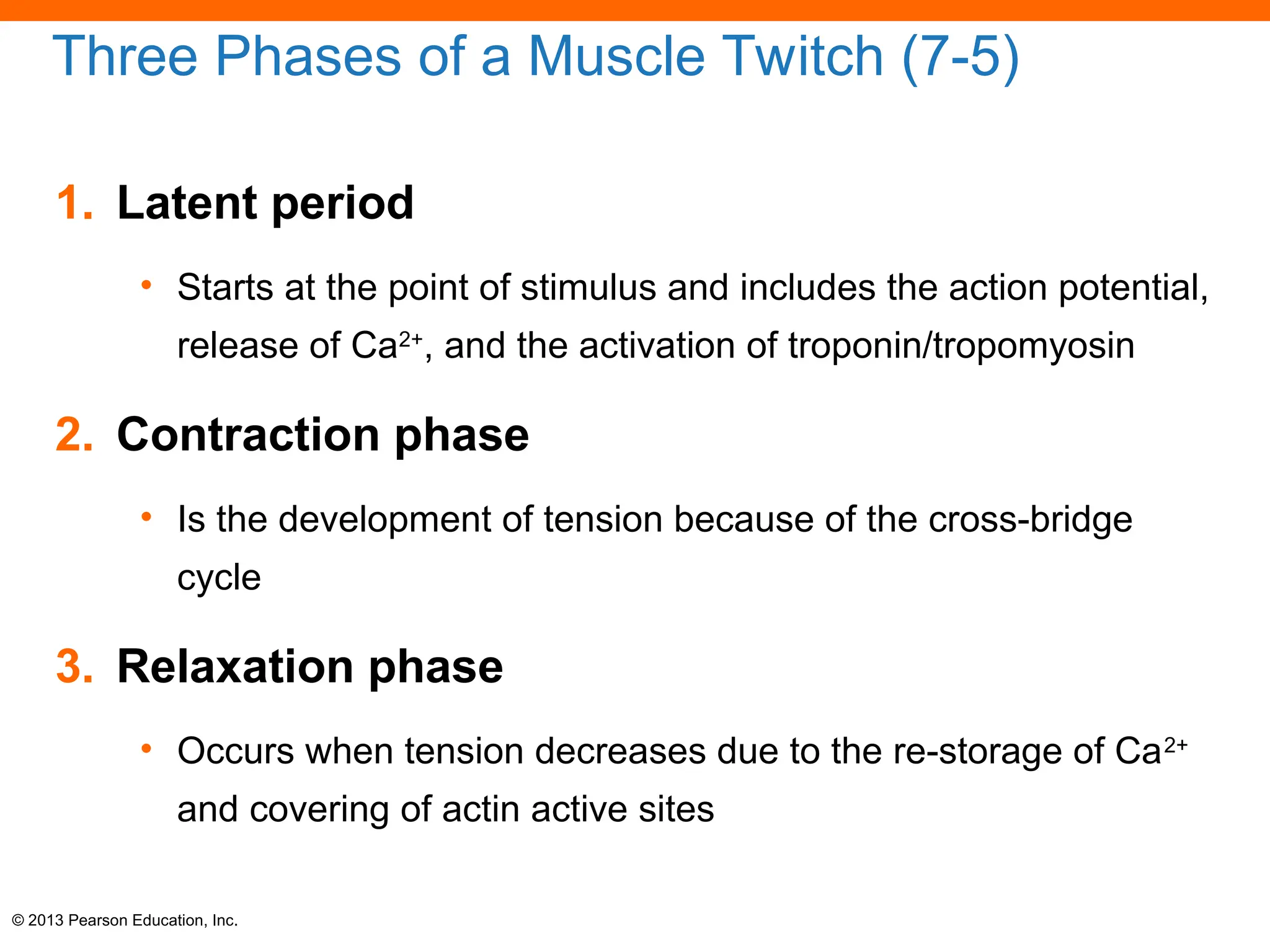 muscular_system_ppt.ppt muscular_system muscular_system | PPT