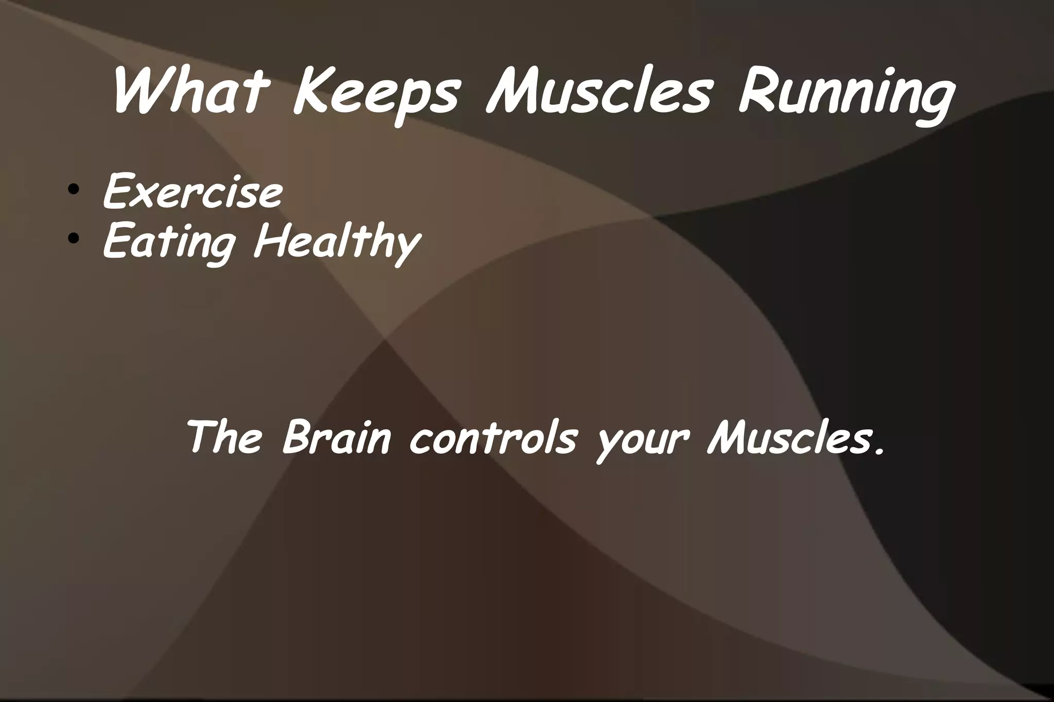 Muscular system presentation | PPT