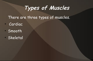 Muscular system presentation | PPT