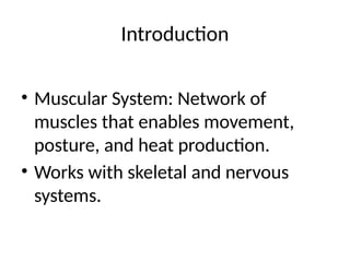 Muscular_System_Presentation-NEW (1).pptx