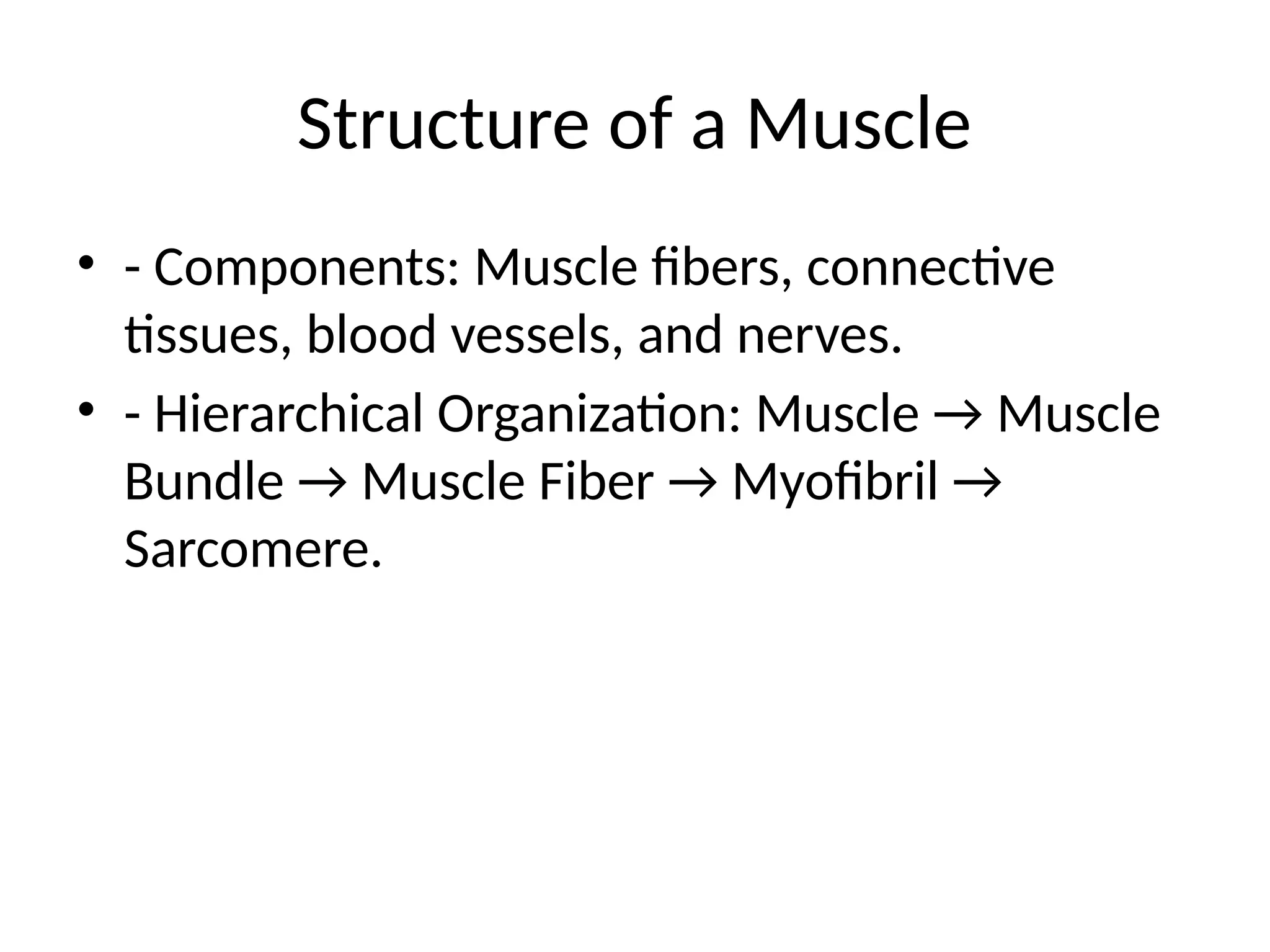 Muscular_System_Presentationnnnnnnn.pptx