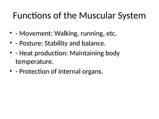Muscular_System_Presentationnnnnnnn.pptx