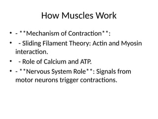 Muscular_SystemmmmmPresentation (1).pptx