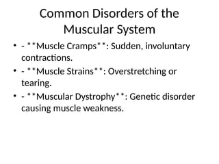 Muscular_SystemmmmmPresentation (1).pptx