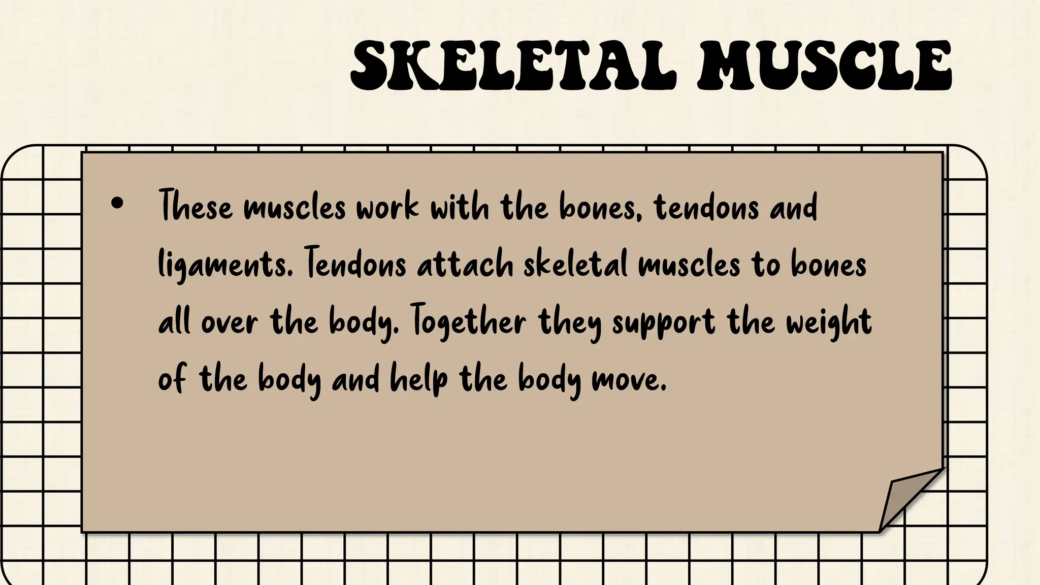 muscular system report anaphy nn.pptx