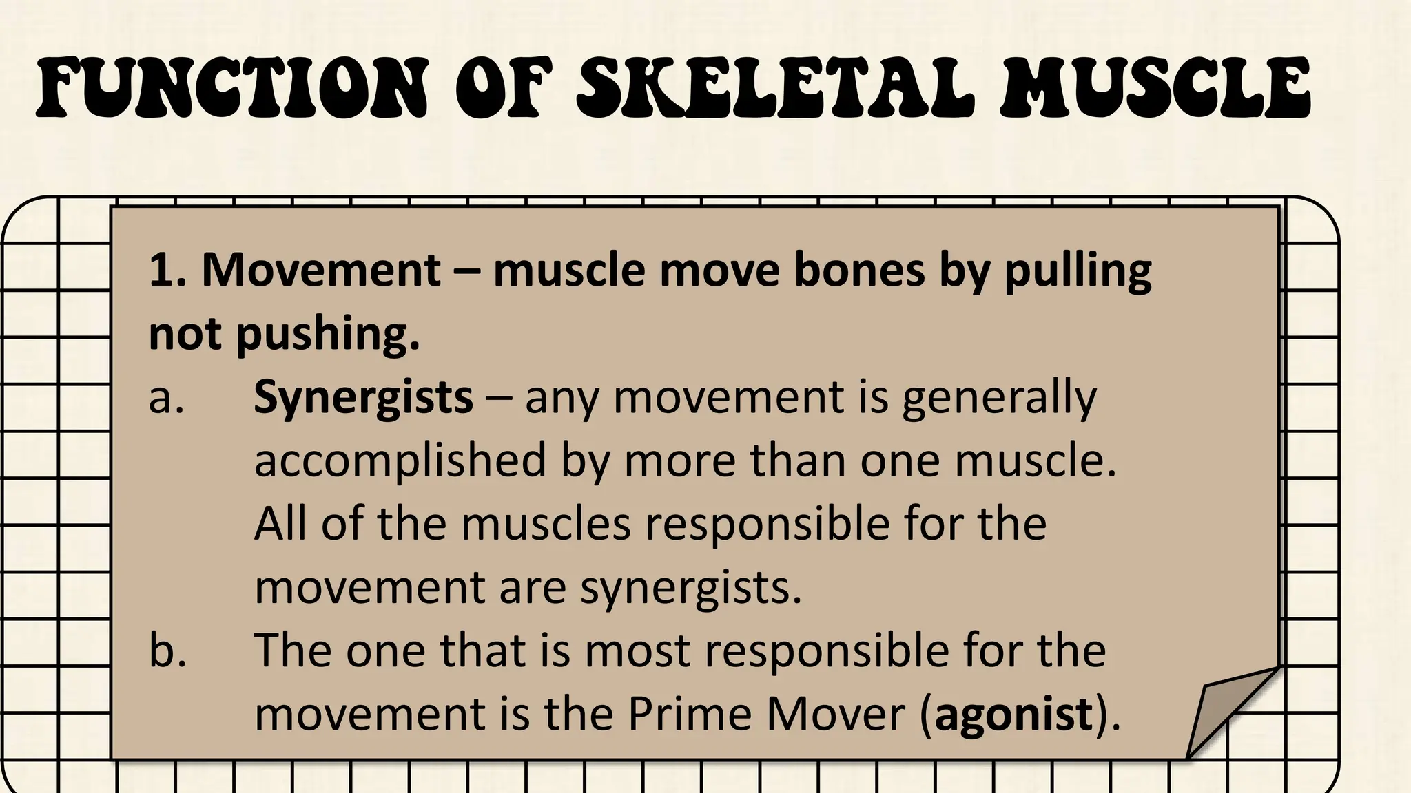 muscular system report anaphy nn.pptx