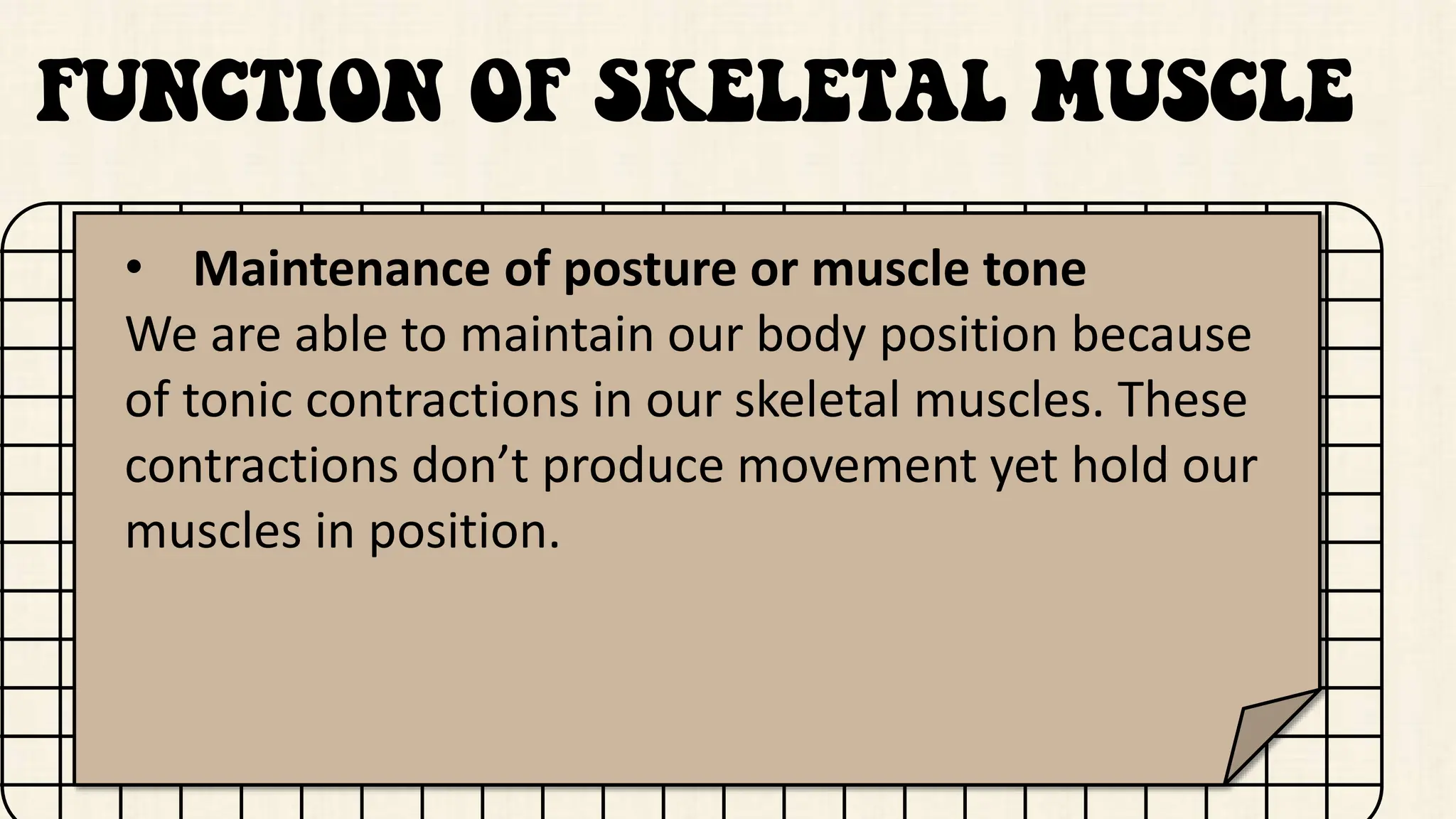 muscular system report anaphy nn.pptx