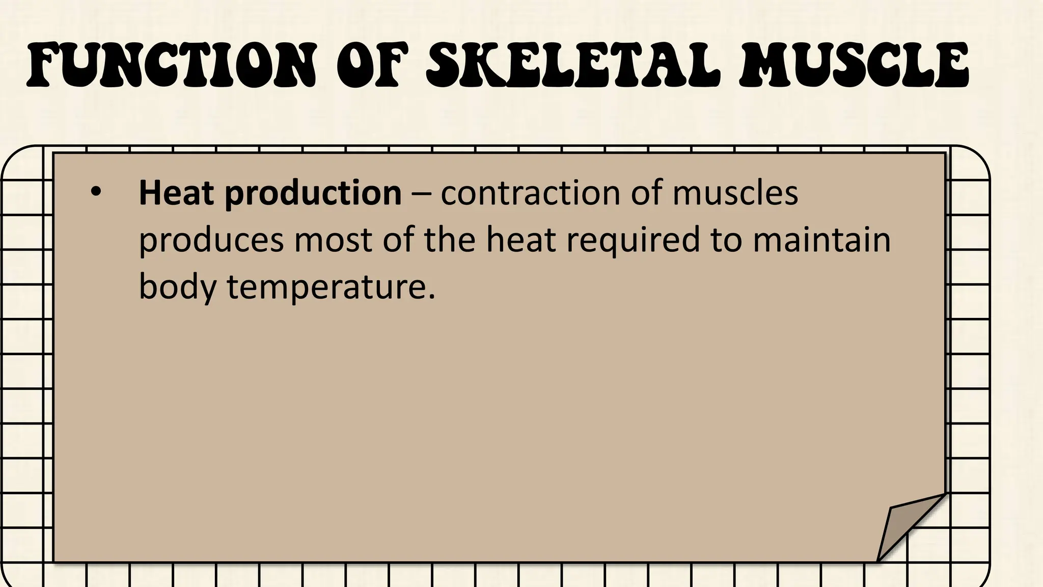 muscular system report anaphy nn.pptx