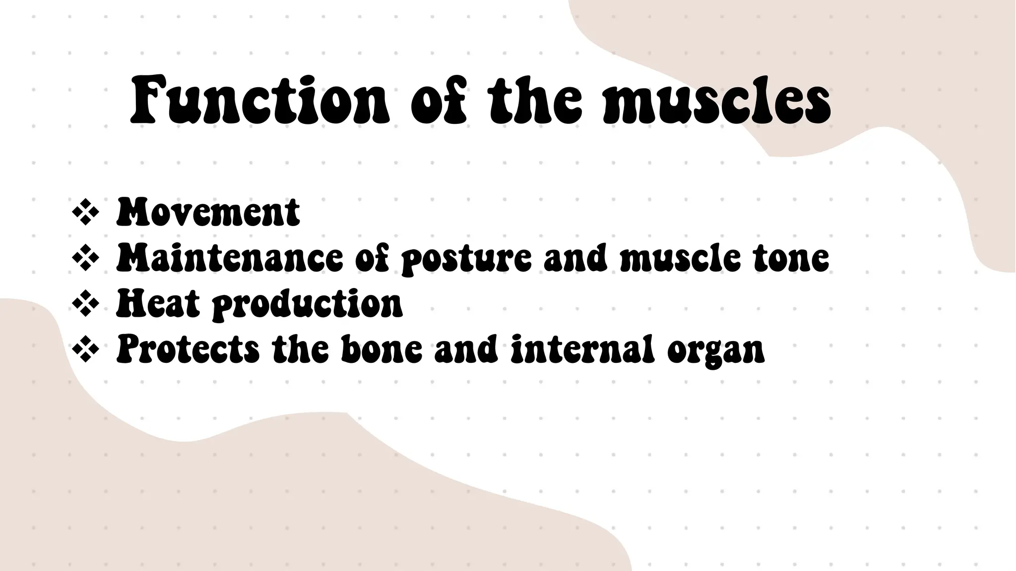 muscular system report anaphy nn.pptx