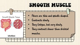 muscular system report anaphy nn.pptx