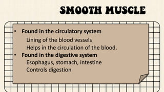 muscular system report anaphy nn.pptx