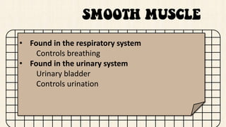 muscular system report anaphy nn.pptx