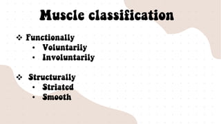 muscular system report anaphy nn.pptx