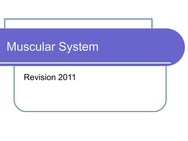 Muscular System Revision | PPT | Injuries | Diseases and Conditions