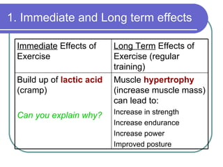 Muscular System Revision | PPT