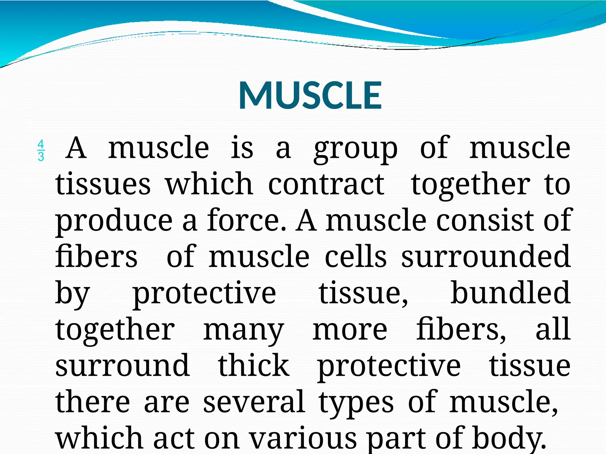 MUSCULAR SYSTEM and functions Rubal Sagar.pptx