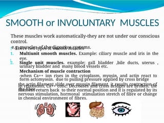 MUSCULAR SYSTEM and functions Rubal Sagar.pptx