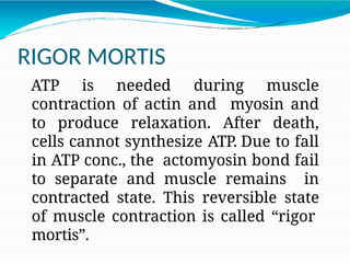 MUSCULAR SYSTEM and functions Rubal Sagar.pptx