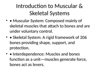 Muscular_System_Scaffold_Presentation.pptx