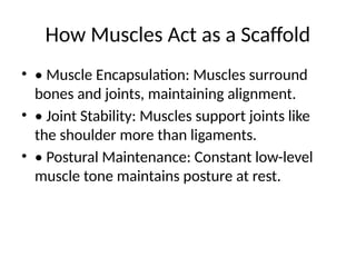 Muscular_System_Scaffold_Presentation.pptx
