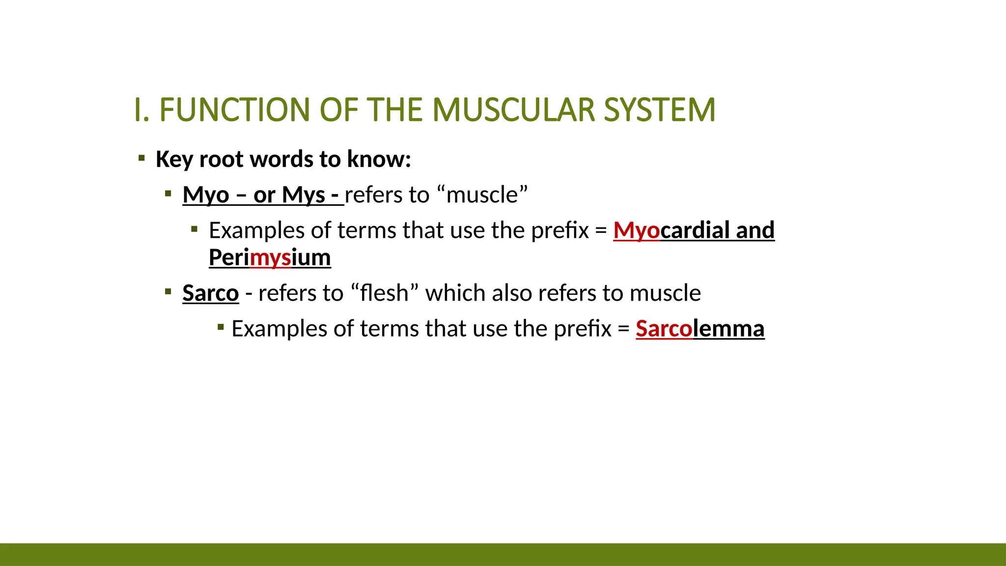 Muscular_System_Structure_and_Function.pptx