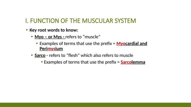 Muscular_System_Structure_and_Function.pptx