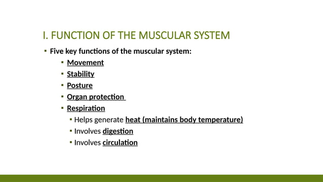 Muscular_System_Structure_and_Function.pptx