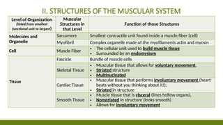 Muscular_System_Structure_and_Function.pptx | Death, Injury, or Military Conflict | Sensitive Topics
