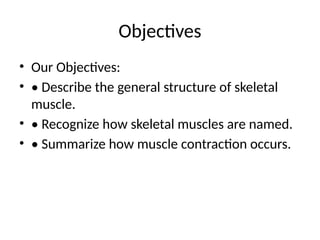 Muscular_System_Summary_Presentation.pptx