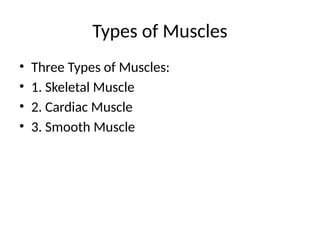 Muscular_System_Summary_Presentation.pptx