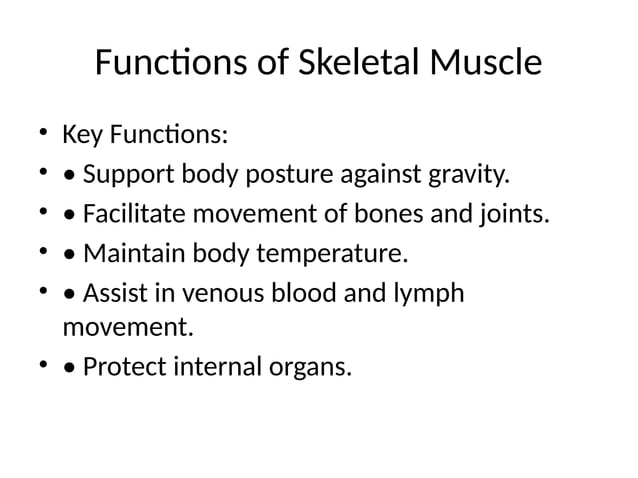 Muscular_System_Summary_Presentation.pptx