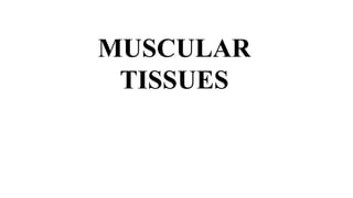 Muscular tissue.ppt