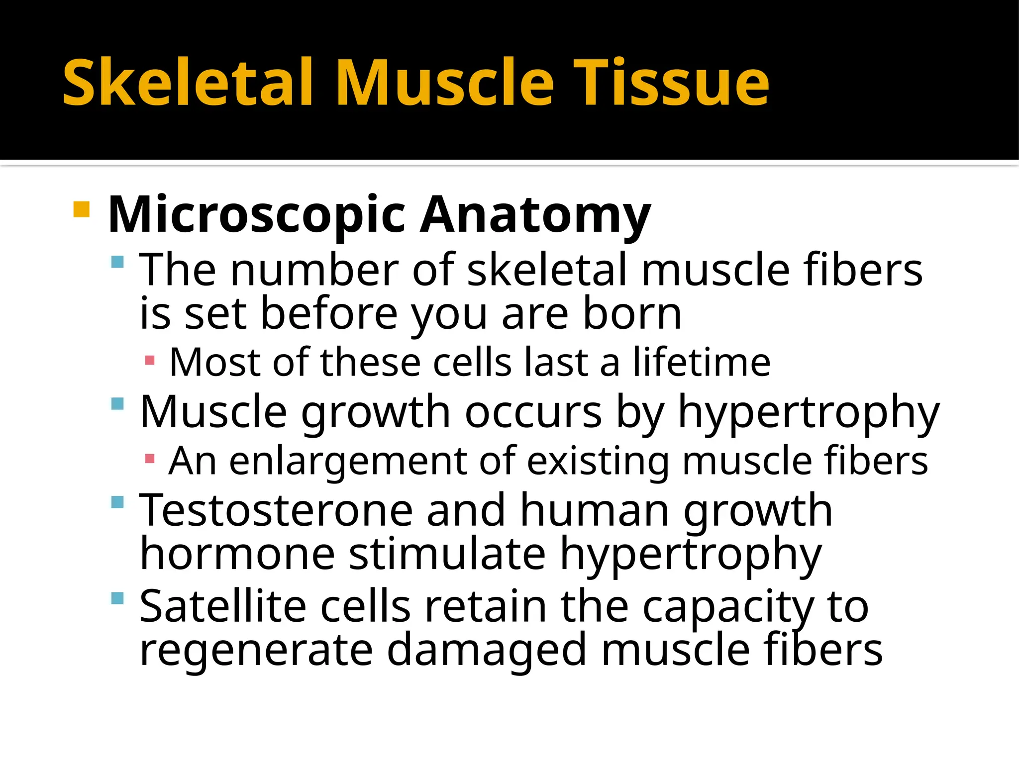 muscular tissue.- structure & Functionppt | PPTX
