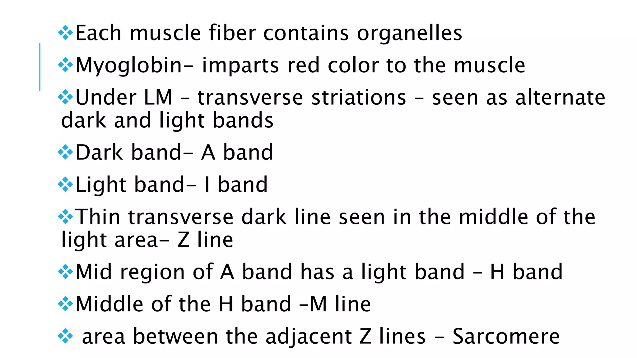 Muscular tissue Histology | PPTX
