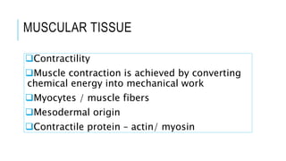 Muscular tissue Histology | PPTX