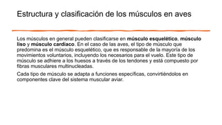 MUSCULATURA DE AVES EN PRODUCCION PECUARIA.pptx