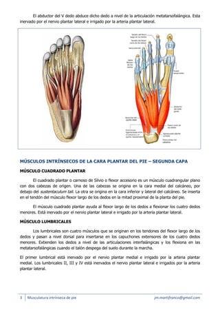 Músculos Intrínsecos Del Pie