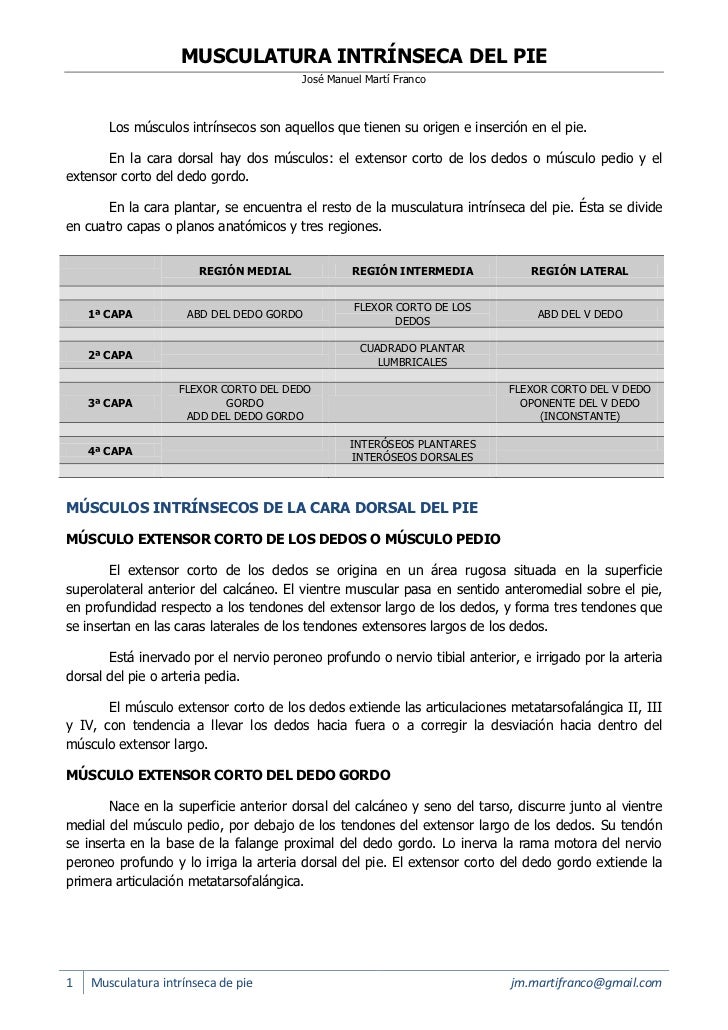 Musculatura intrínseca del pie