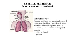 musculatura respiratorieIII.pptx