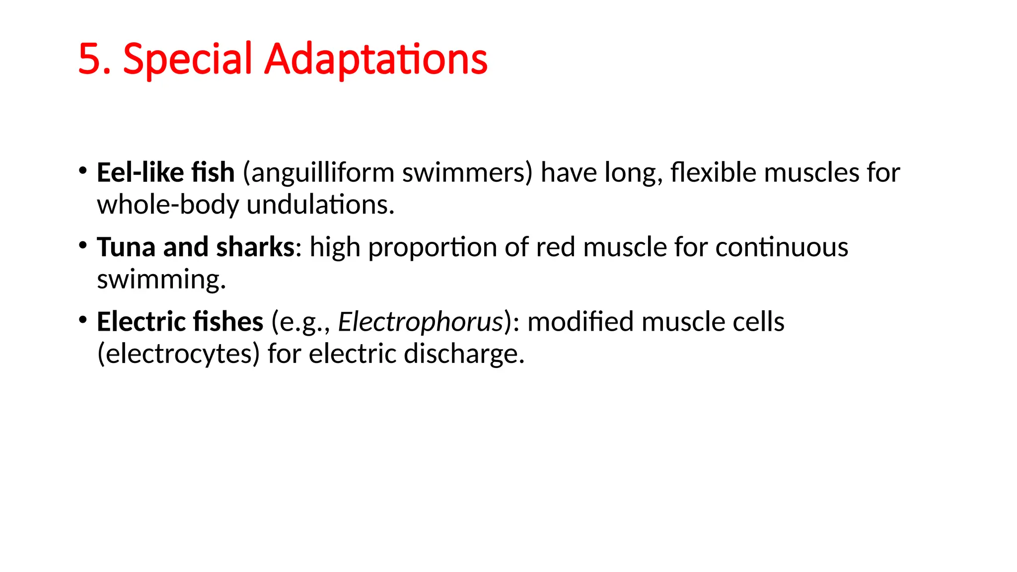 Musculature in Fishes. A lecture for B.Sc Students.pptx