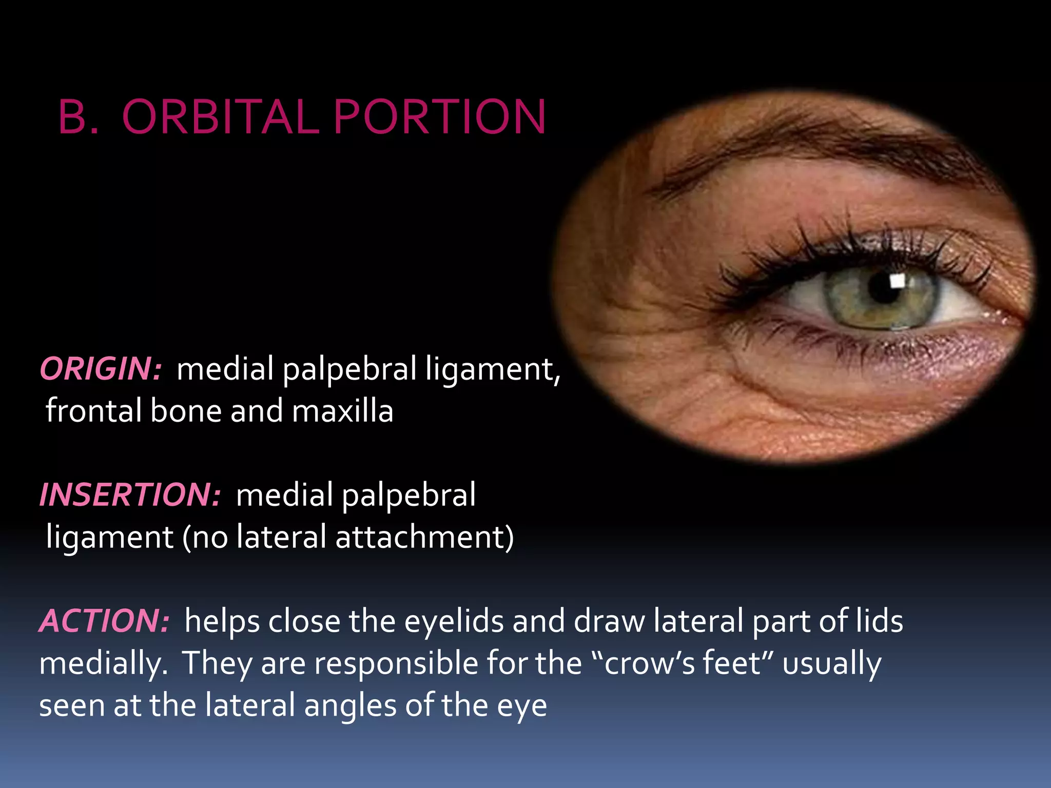 Musculature of head | PPTX