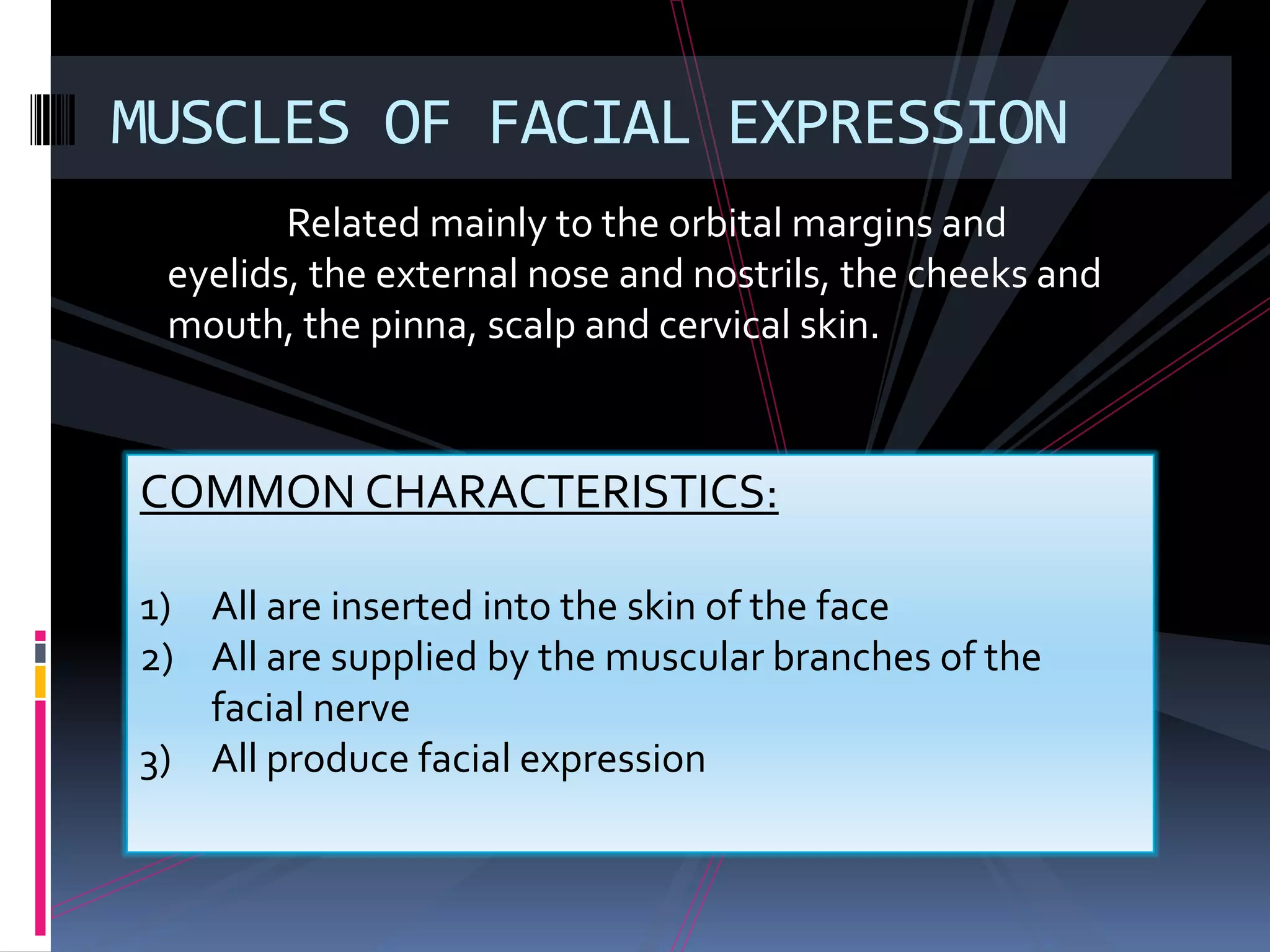 Musculature of head | PPTX