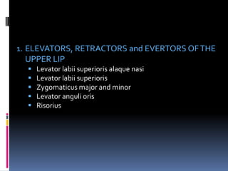 Musculature of head | PPTX