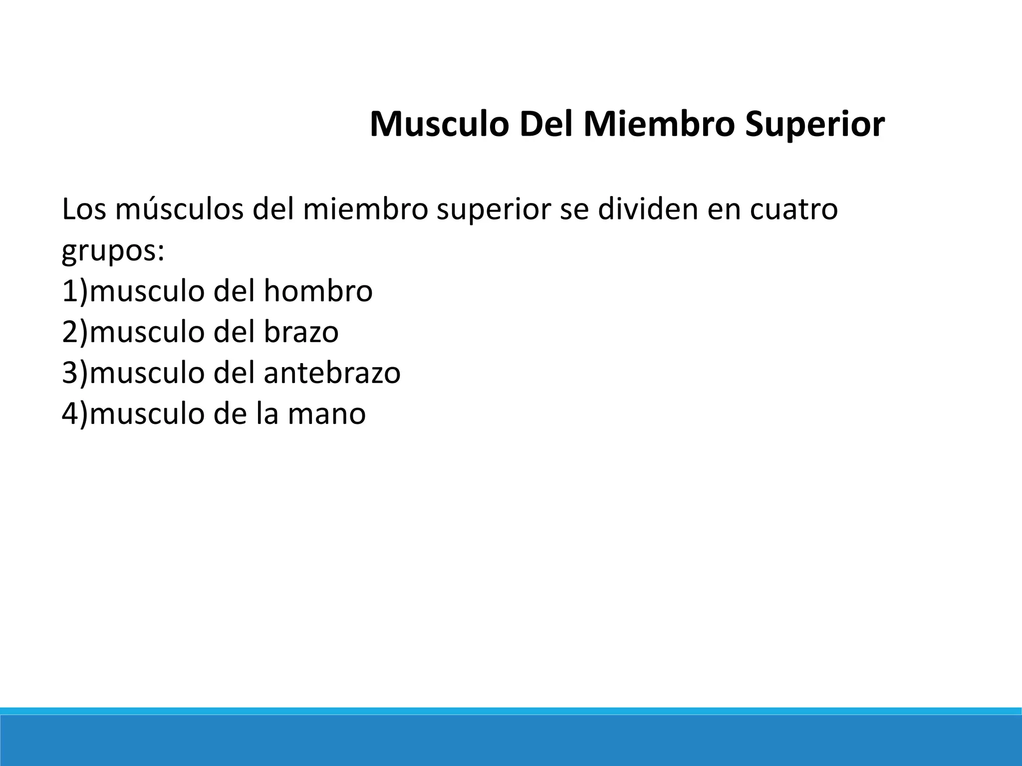 Músculo Del Miembro Superior | PPTX